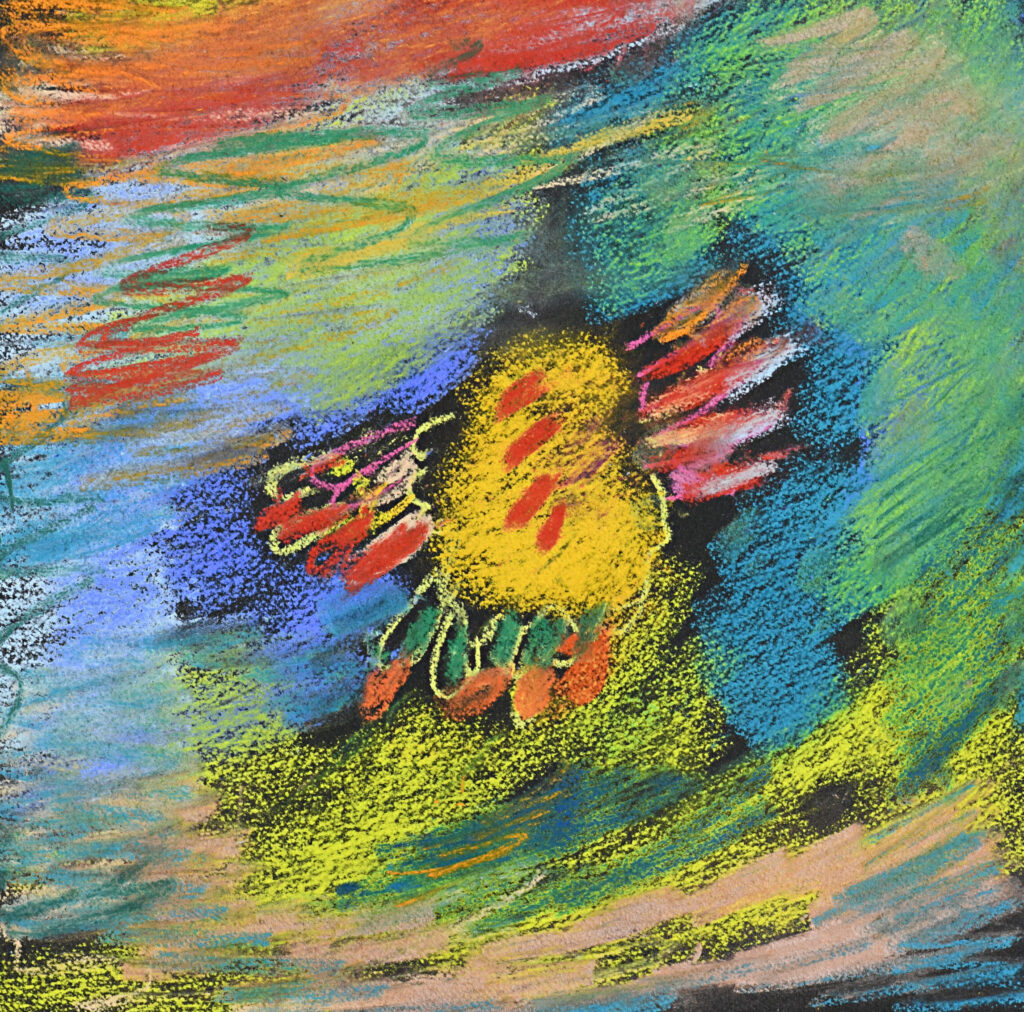 Dorothy Berry - Arts Project Australia