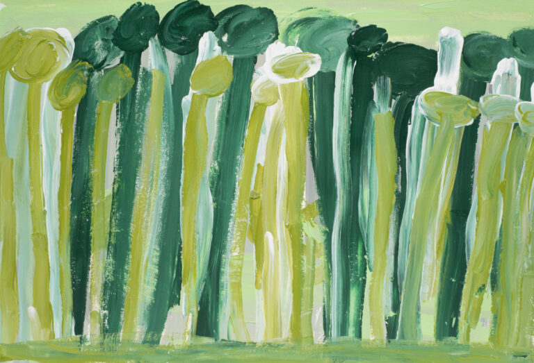 Exhibitions - Arts Project Australia