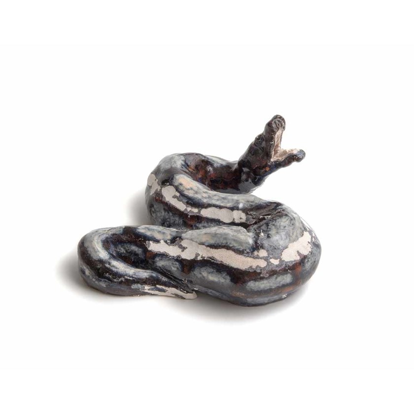 Red Blood Python - Arts Project Australia