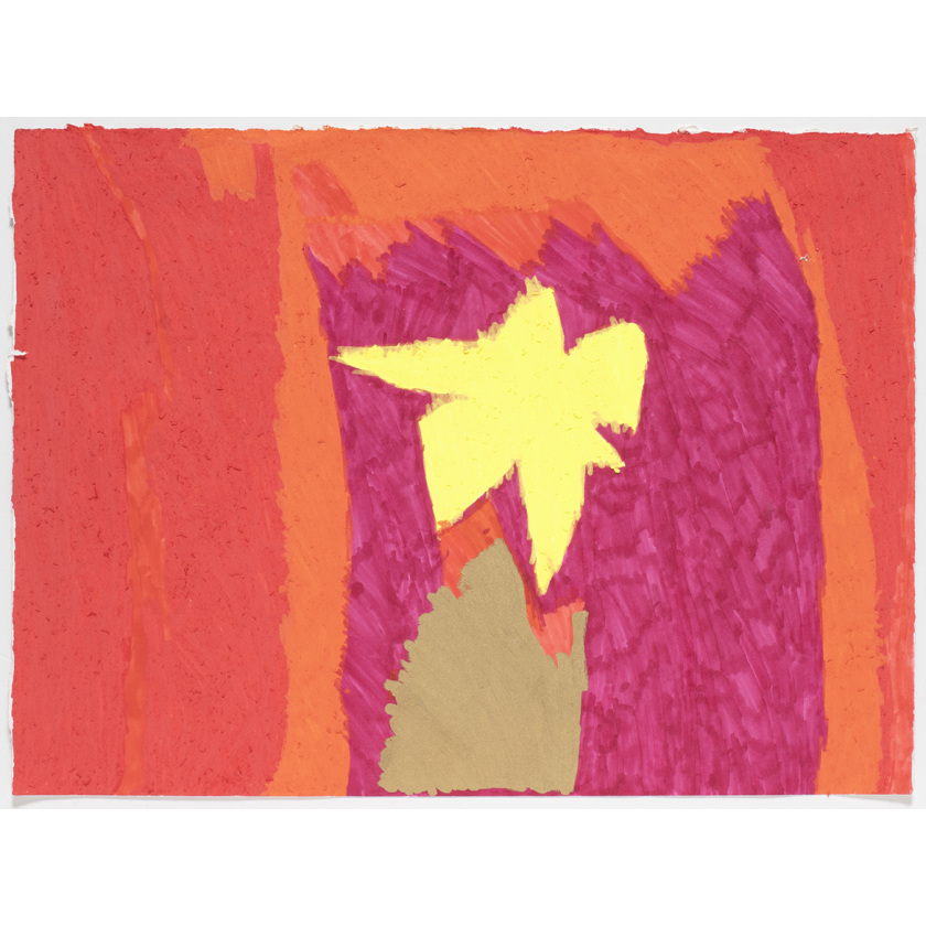 Untitled - Arts Project Australia