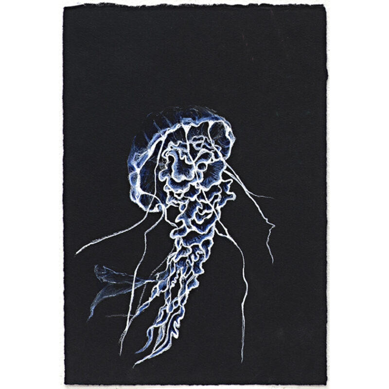 Untitled (blue and white octopus) - Arts Project Australia