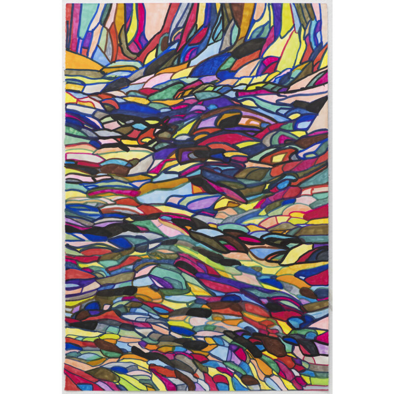 Untitled - Arts Project Australia