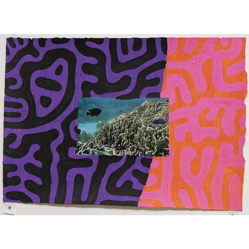 Untitled - Arts Project Australia