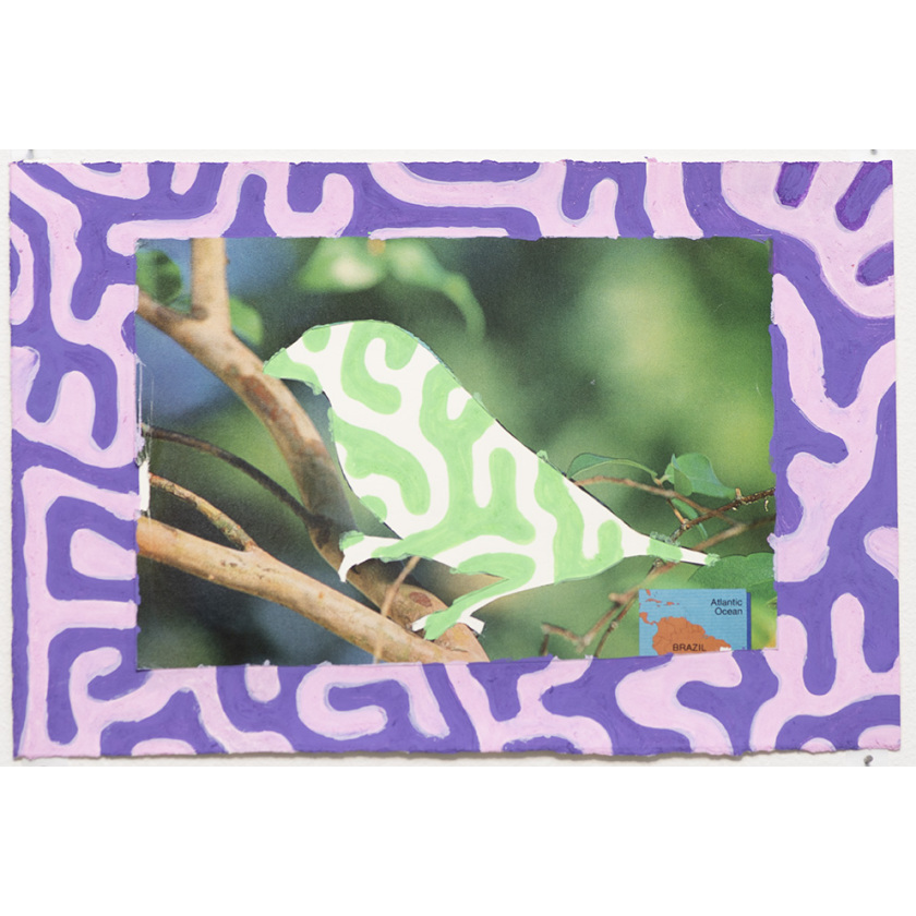 Untitled - Arts Project Australia
