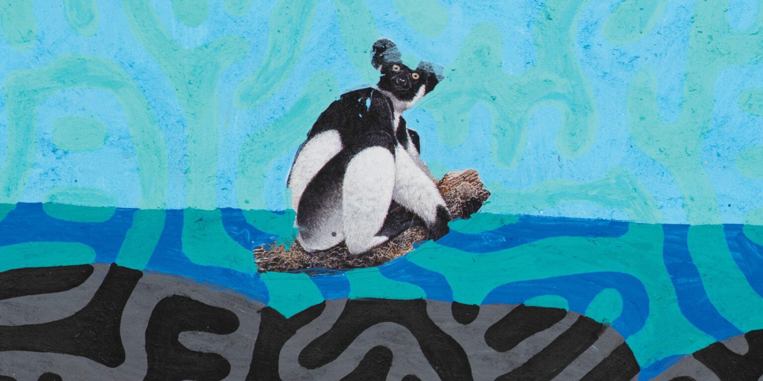 Exhibitions - Arts Project Australia