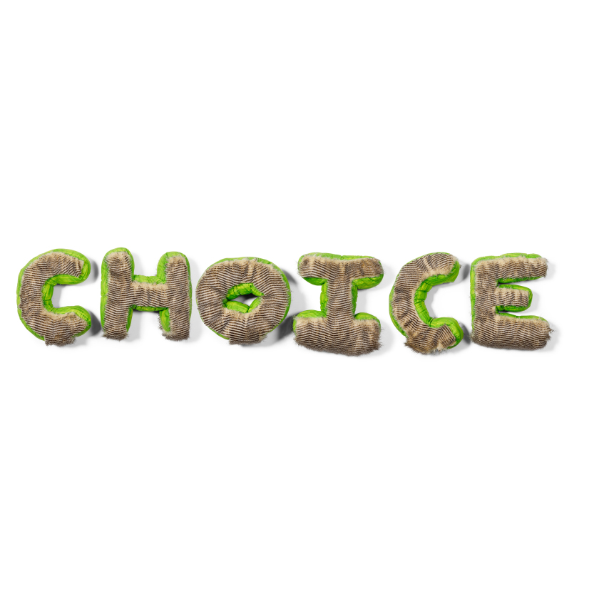 Choice - Arts Project Australia